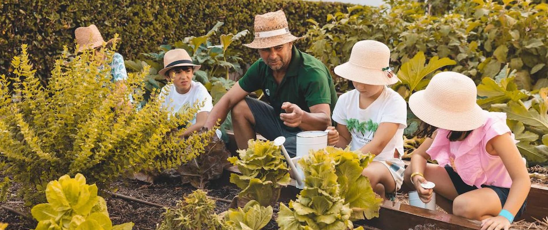 World Earth Day reminds us to contribute to a greener world - Garden Hotels