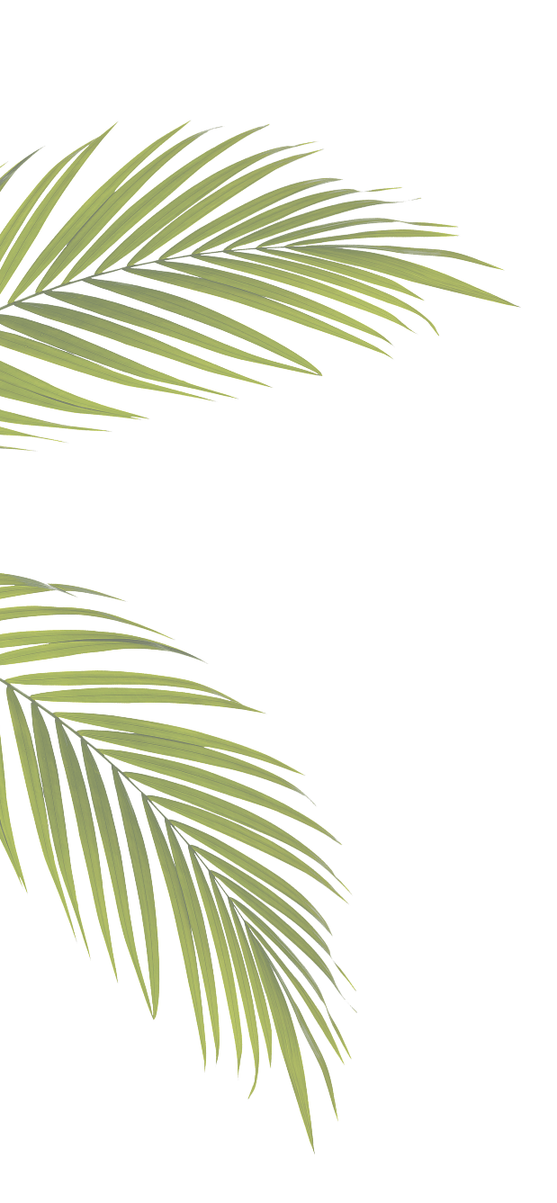 Hotel Kinbe | Playa del Carmen, México | Web Oficial