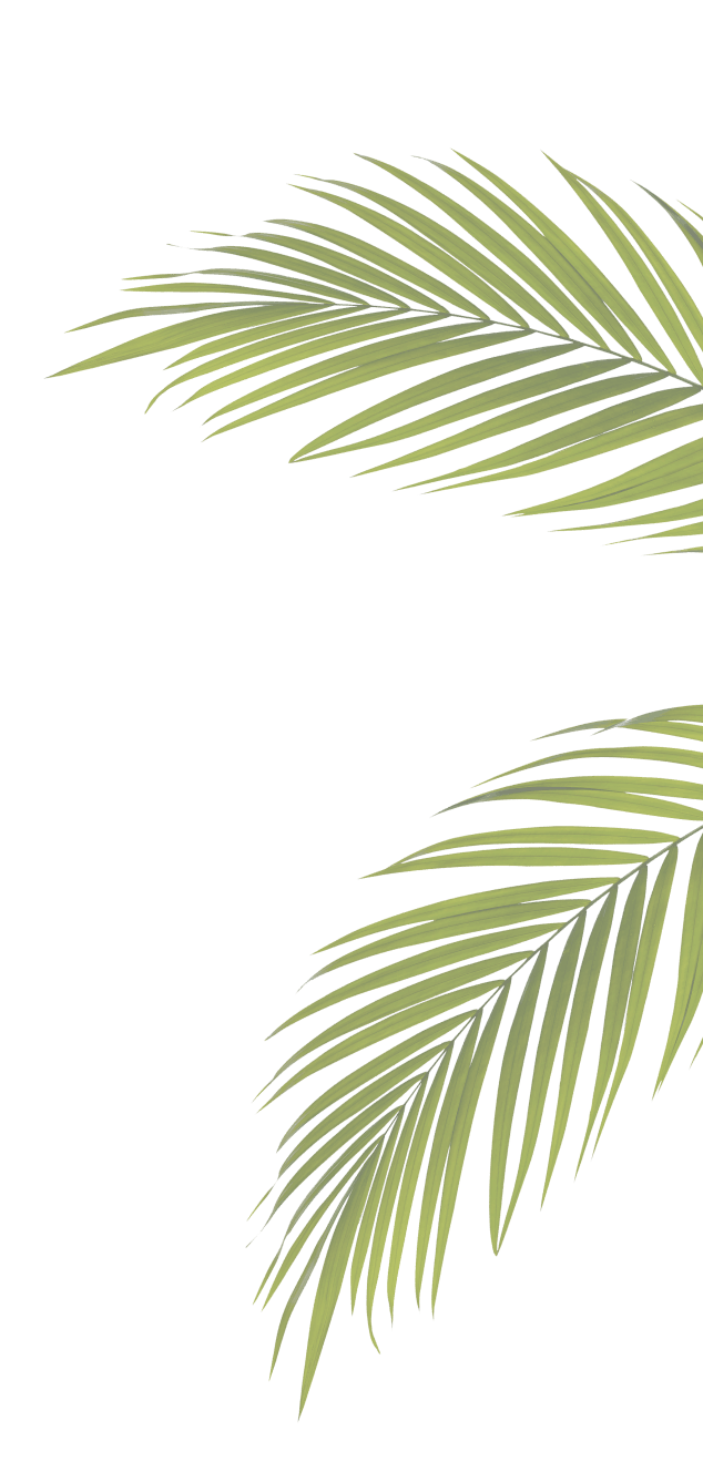 Hotel Kinbe | Playa del Carmen, México | Web Oficial