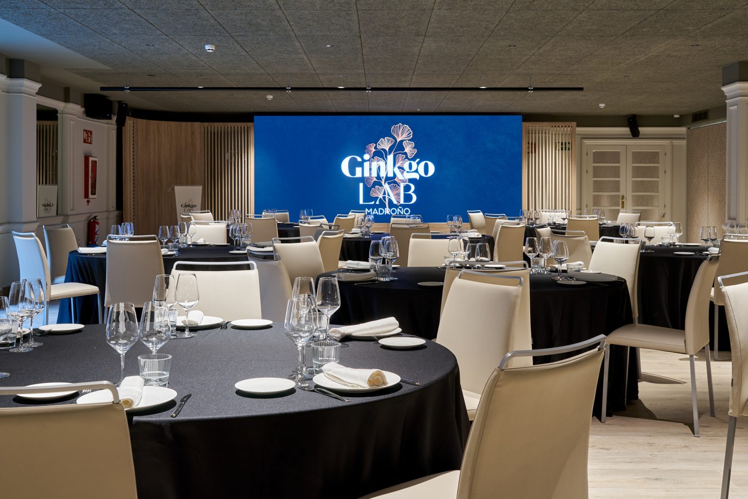 VP Madroño - Official website