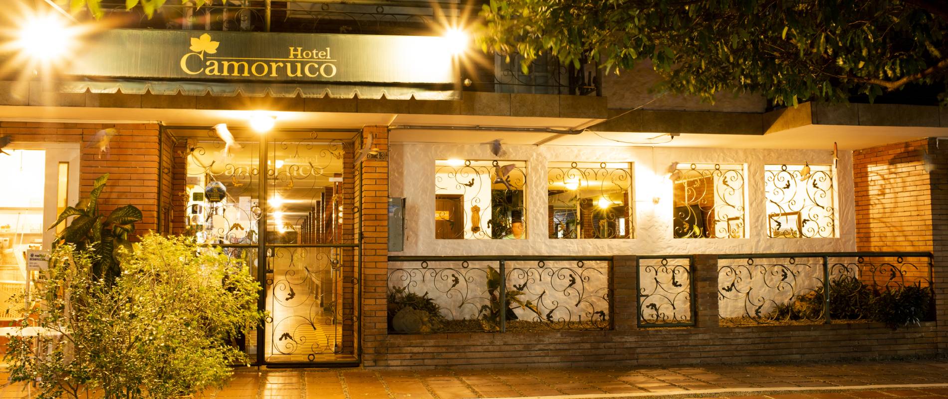 Bienvenidos de nuevo! - Hotel Camoruco